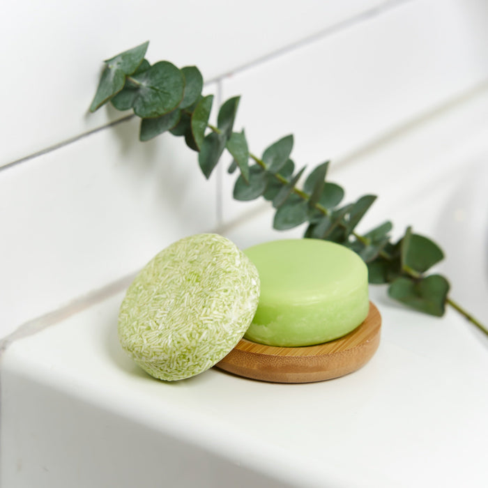 Aloe Shampoo & Conditioner Bar Bundle | Bamboo Switch®